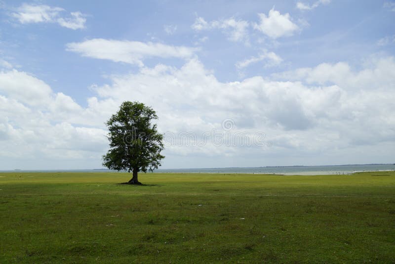Slow life stock photo. Image of flowing, generation, blue - 82913452