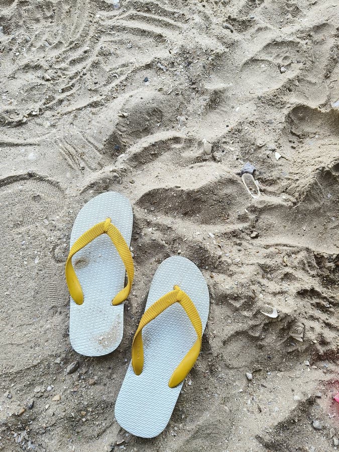 Slow life in sea stock image. Image of yellow, sandy - 359925631