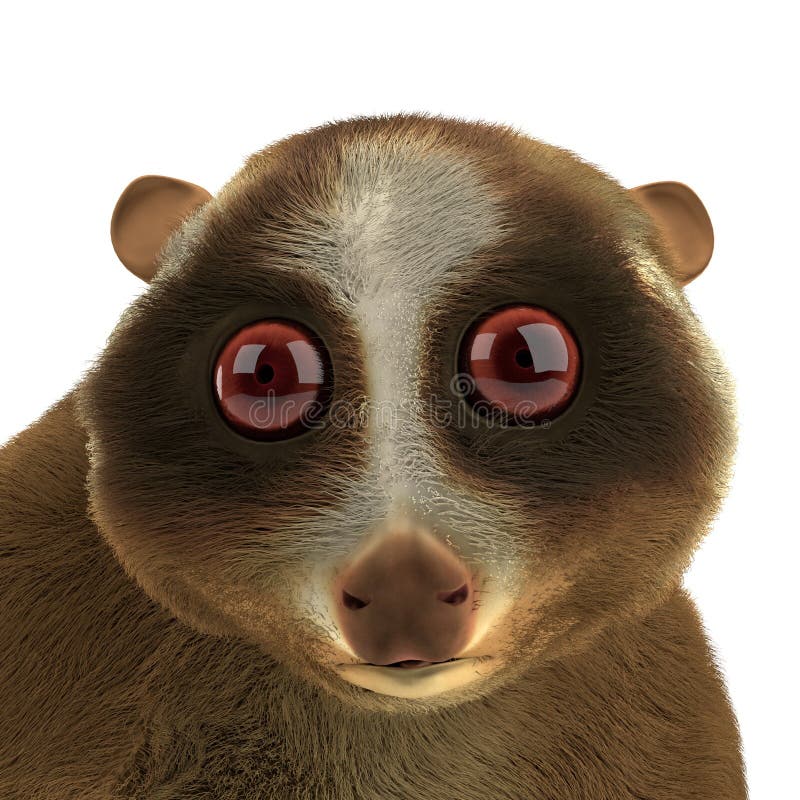 Loris Stock Illustrations – 84 Loris Stock Illustrations, Vectors ...