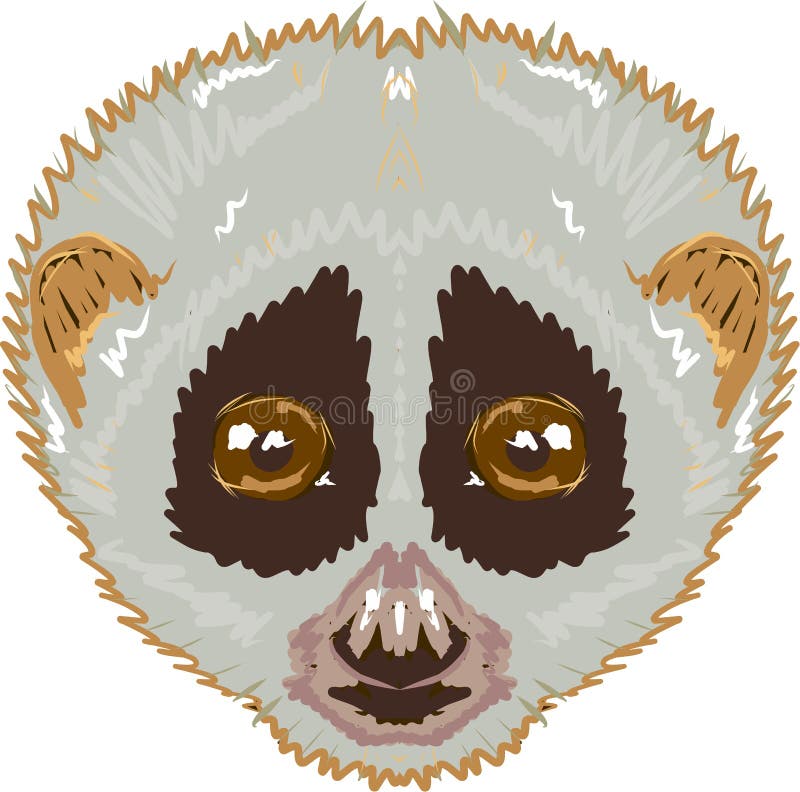 Loris Illustration Stock Illustrations – 408 Loris Illustration Stock ...