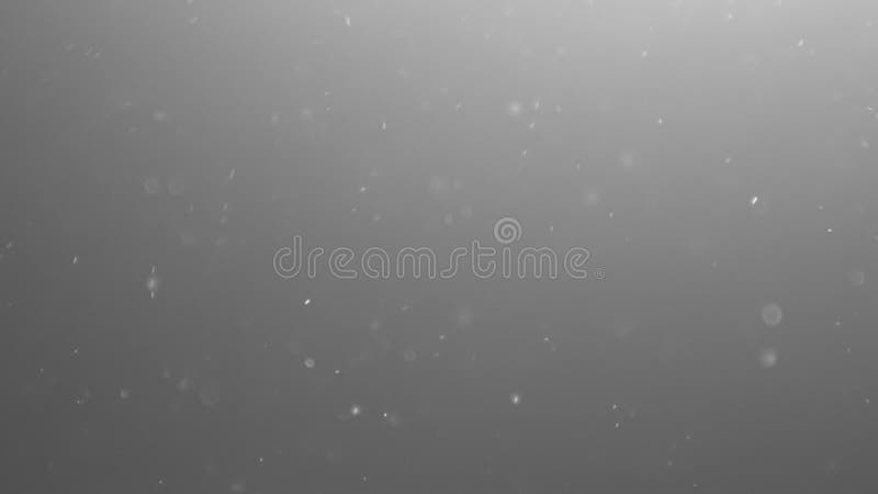 Slow Motion Backlit Dust Particles with Bubble Like Bokeh Fast ...