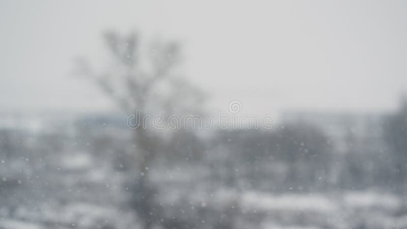 Slow Motion Bokeh Background of Snowfall with Blurred Trees on ...