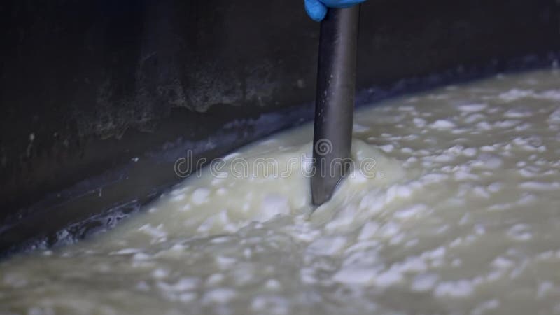 Slow-motion, Closeup of a Worker Separating Whey from Curds during ...
