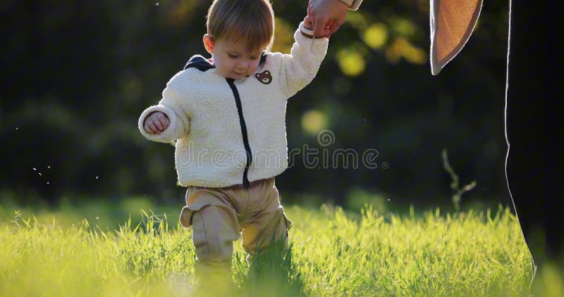 Slow Motion, Boy Walking in a Grass Holding Mother Hand Stock Video ...