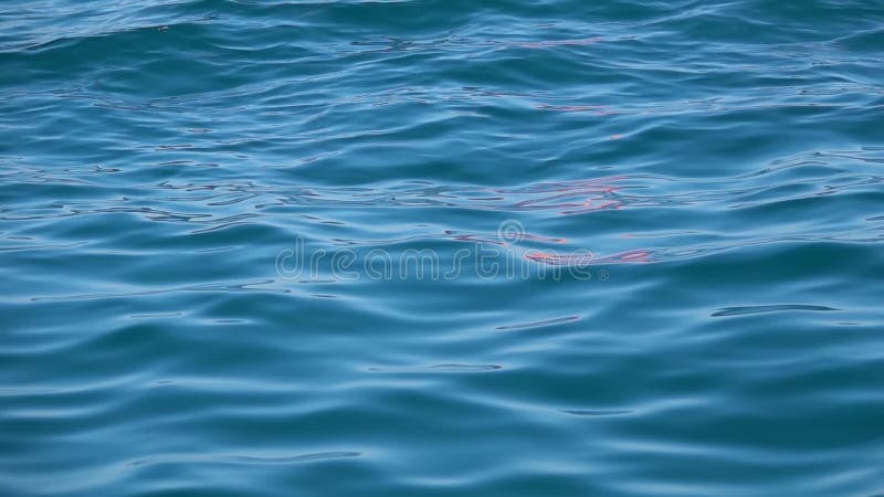 Slow Motion of Disturbed Blue Sea Water Surface. Close Up Stock Video ...