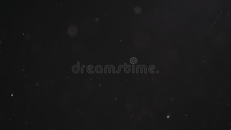 Slow Motion Dust Particles Float in Neutral Light on Black Background ...