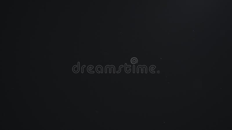 Slow Motion Dust Particles Float in Neutral Light on Black Background ...