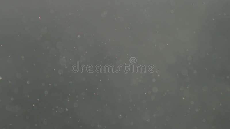 Slow Motion of Fine Dust Particles Falling on Black Background Stock ...