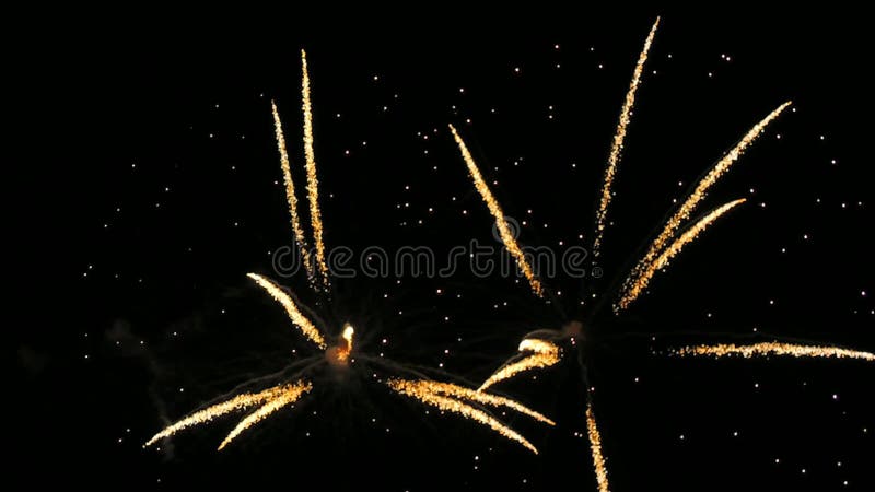 Slow Motion Fireworks in the Black Night Sky. Festive Salute Stock ...