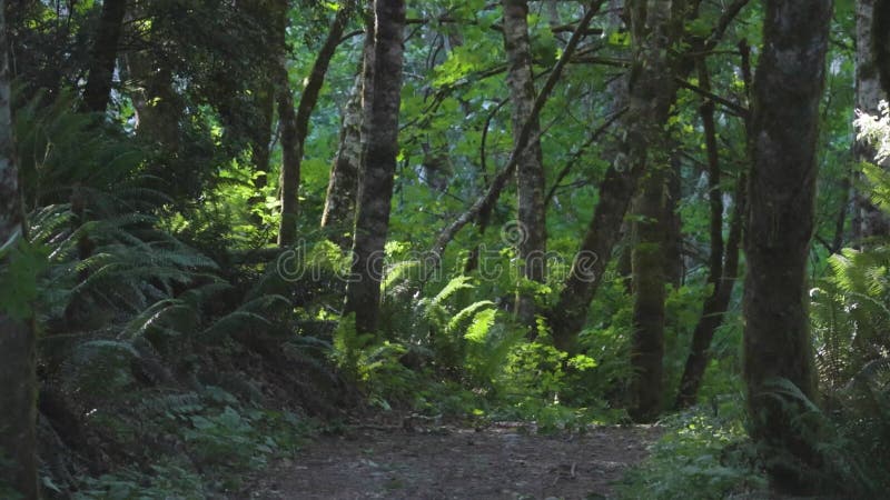 Dust Motes Sparkle in the Defocused Light Adding an Extra Layer of ...