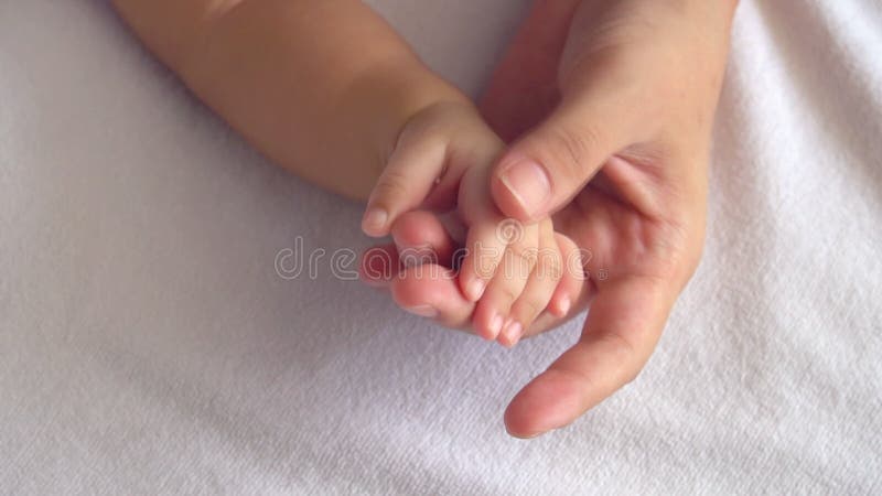Baby Hand Touching Natural Green Leaves in Garden on Sunny Spring Day ...