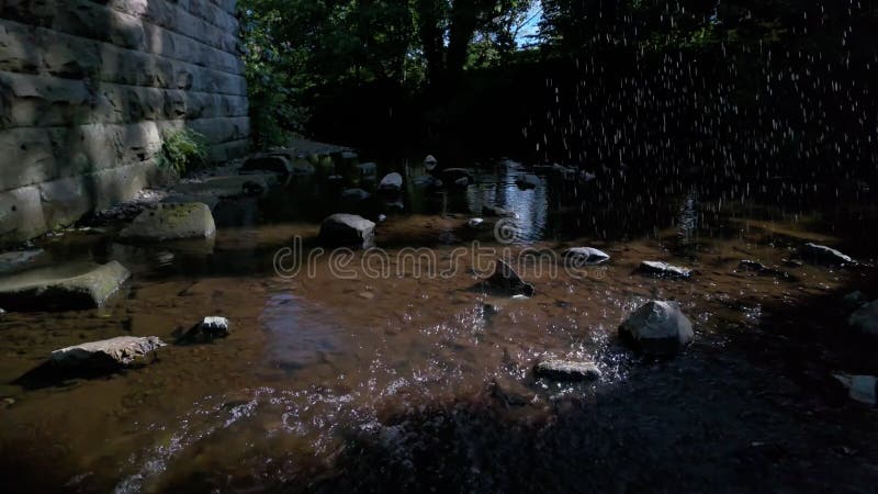 Slow Motion of a Pond Water Splash with Sunlight Stock Video - Video of ...