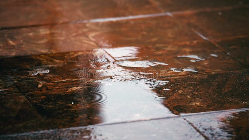 Slow Motion of Rain Drops Falling on the Path Stock Footage - Video of ...