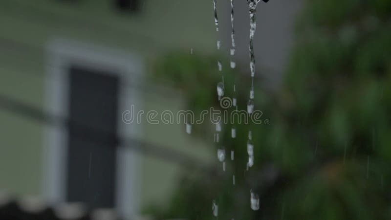 Slow Motion Raindrops Dripping Stock Video - Video of nature, autumn ...