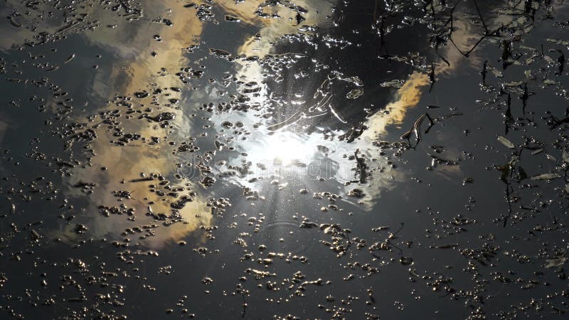 Slow Motion Reflection of Clouds and Sun in Muddy Water of Pond with ...