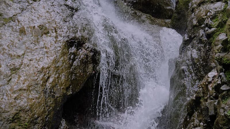 Slow Motion: Waterfall in the Mountain, River or Stream is Falling Down ...