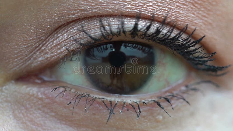 Slow-motion Single Eye Close Up Stock Video - Video of optical, slow ...