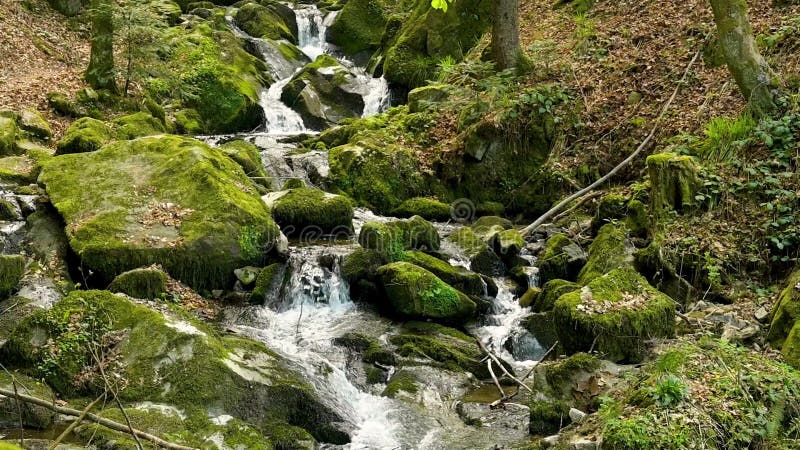 Slow Motion of a Small Cascade Waterfall in the Black Forest Stock ...