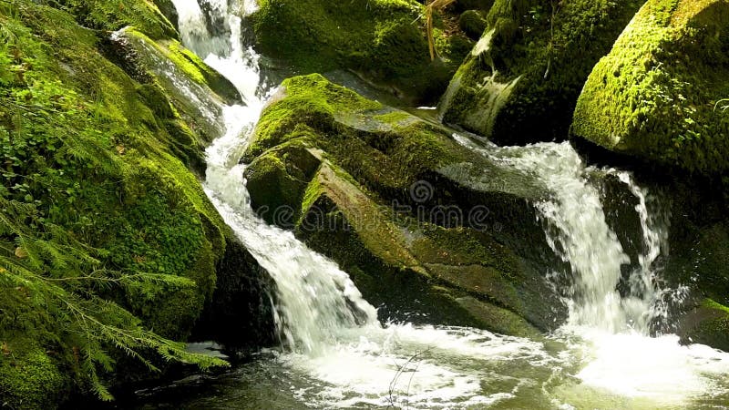 Slow Motion of a Small Cascade Waterfall in the Black Forest Stock ...