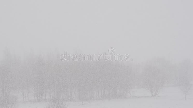 Slow Motion Snow Falling with Blurred Bacground Stock Video - Video of ...