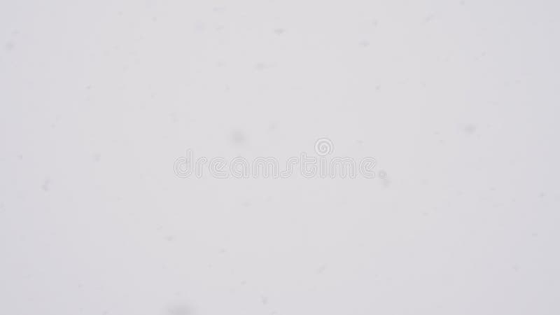 Slow Motion Snow Falling Over White Clouds Stock Video - Video of ...
