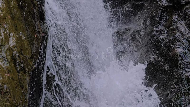 Slow Motion: Stream is Flowing and Falling Down, Waterfall in the ...