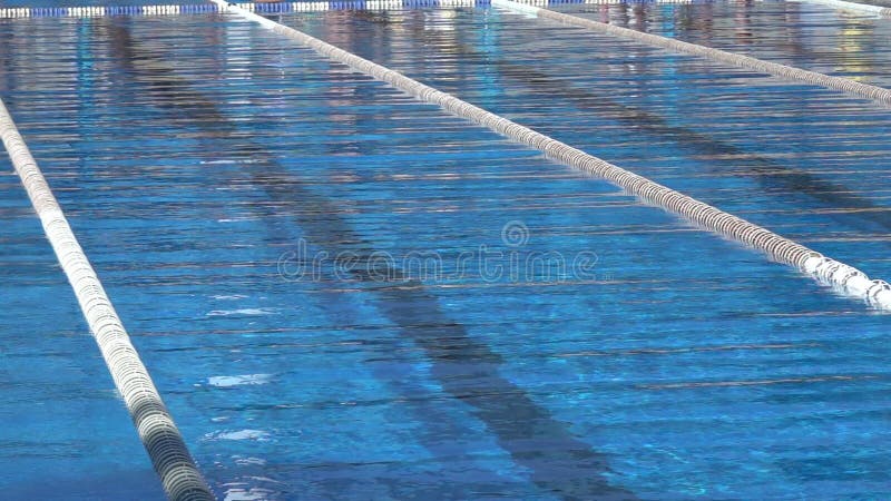 Slow Motion of Swimming Pool with Marked Lanes. Stock Video - Video of ...