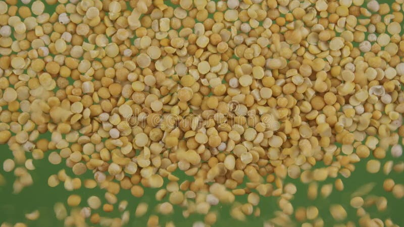 Slow Motion. Top View on Flying and Falling Peas Grains. the Seeds Fall ...