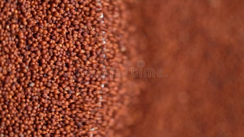 Slow-motion Top View of Raw Finger Millets Falling from a Plate on a ...