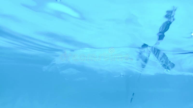 Underwater View of Plastic Trash Floating in Ocean. Pollution Concept ...