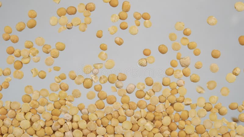 Slow Motion. a Whole Grain of Peas Flying and Falling Down. Texture and ...