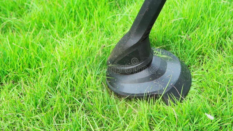 Worker Using a String Lawn Trimmer Mower Cutting Grass at Home Stock ...