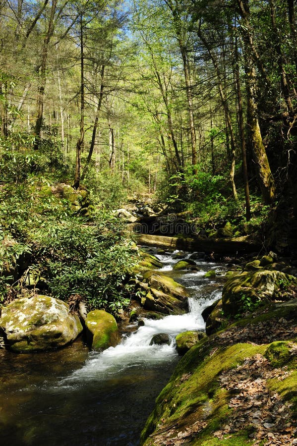 Slow moving stock image. Image of pacific, west, strate - 21360969