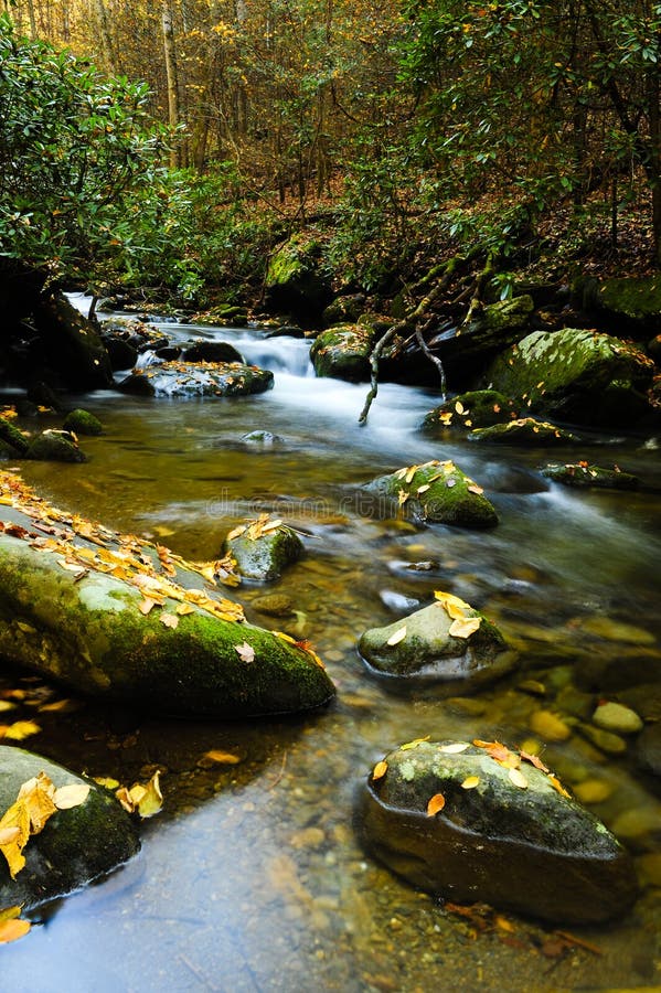 Slow moving stream in fall stock image. Image of fall - 26413153