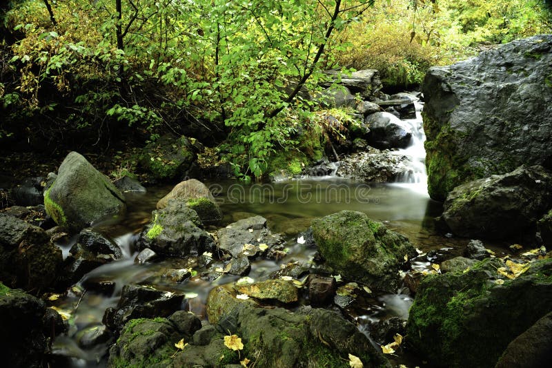 Slow moving creek stock photo. Image of yellow, colors - 16799770
