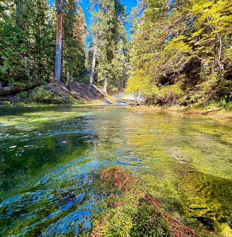 Slow Moving River in the Foreground with White Water in Background ...