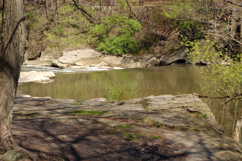 Slow Moving Stream Picture. Image: 2339