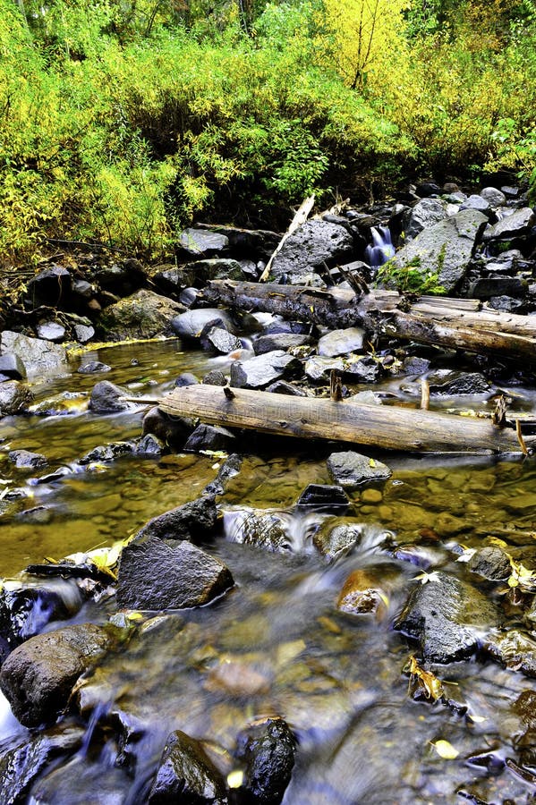 Slow Moving Stream stock image. Image of moss, flowing - 20892337