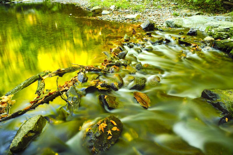 Slow moving stream stock photo. Image of water, moss - 11287480
