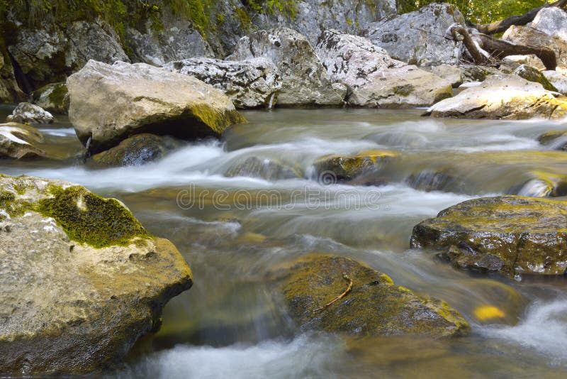 The Slow Moving Stream in a Forest Decked Out in Fall Colors Stock ...
