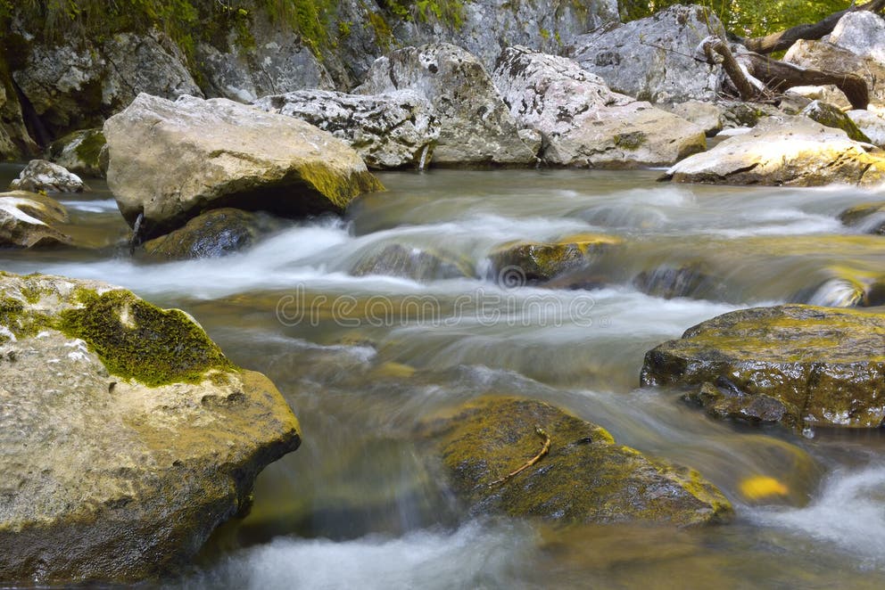 The Slow Moving Stream in a Forest Decked Out in Fall Colors Stock ...