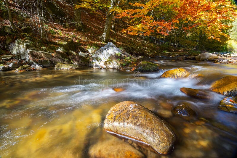A Slow Moving Stream in a Forest Decked Out in Fall Colors Stock Photo ...