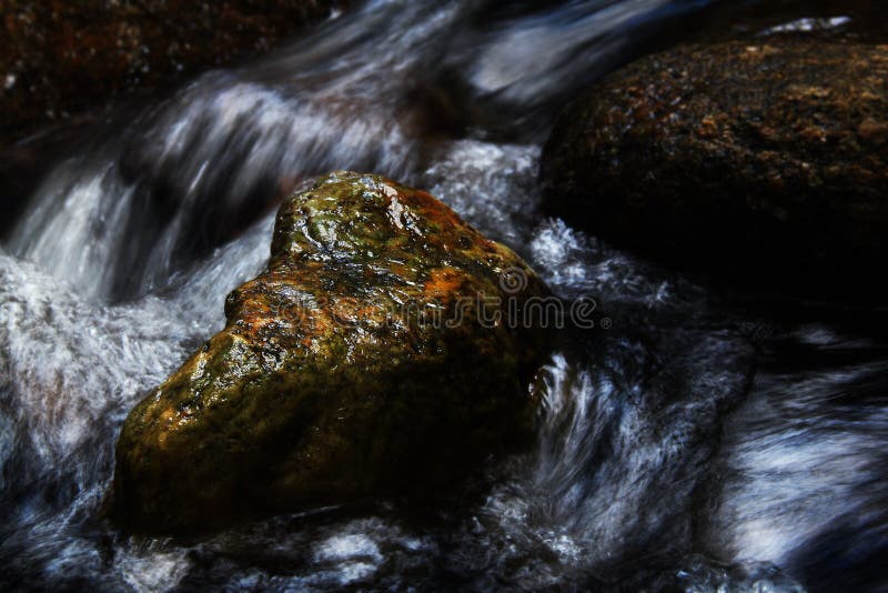 A slow moving stream stock photo. Image of beauty, forest - 39206350