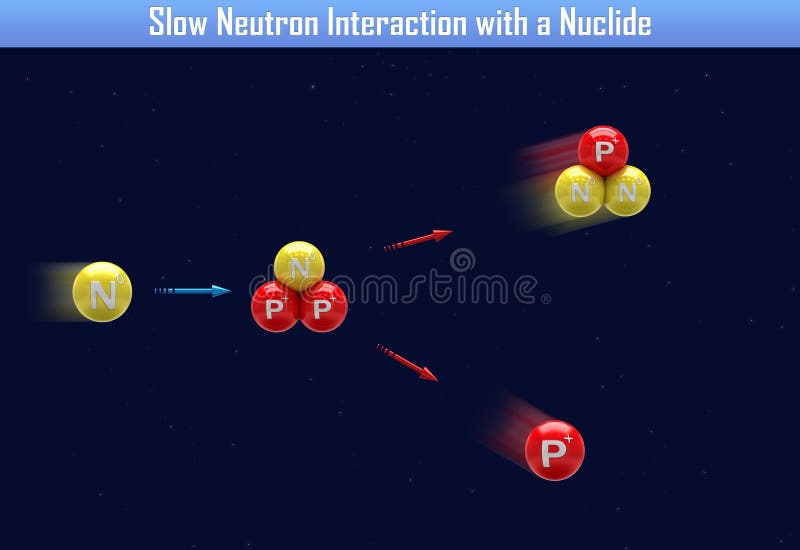 Slow Neutron Interaction with a Nuclide Stock Illustration ...