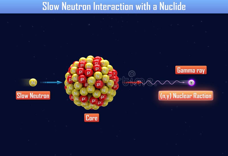 Slow Neutron Interaction with a Nuclide Stock Illustration ...