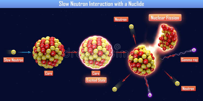 Slow Neutron Interaction with a Nuclide Stock Illustration ...