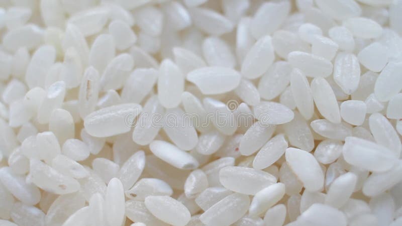 Rotation of Rice Grains Scattered in a Circle with Space in the Center ...