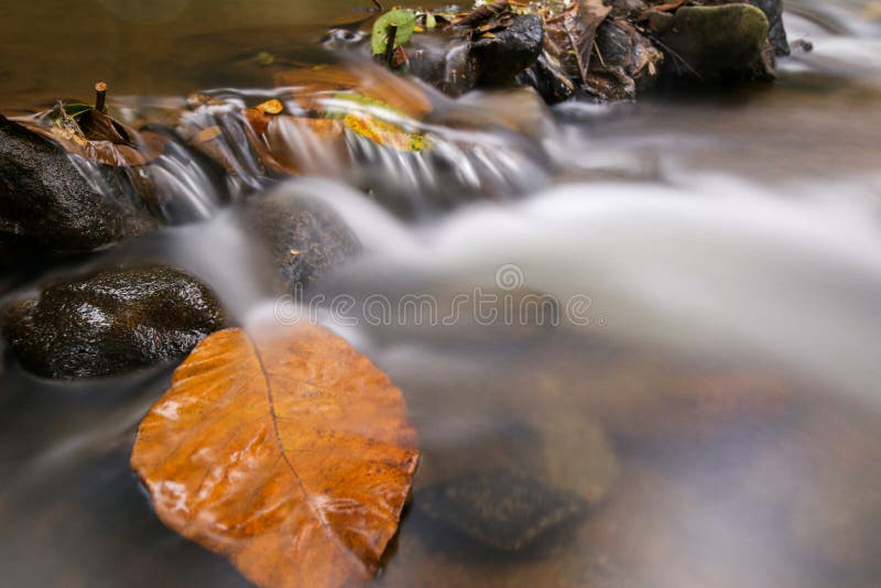 Slow Shutter Capturing Flowing Water of Cascading Trickling Stream in ...