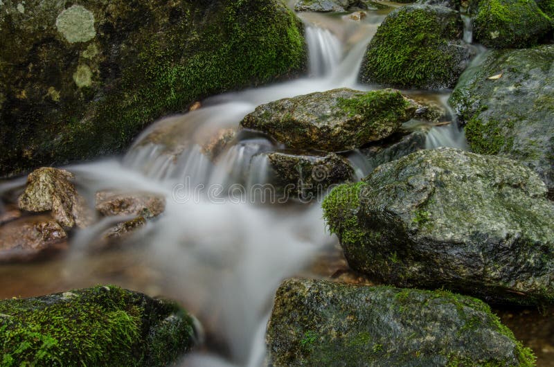 Slow Shutter Speed Mossy Rocks Stock Photo - Image of appalachian ...