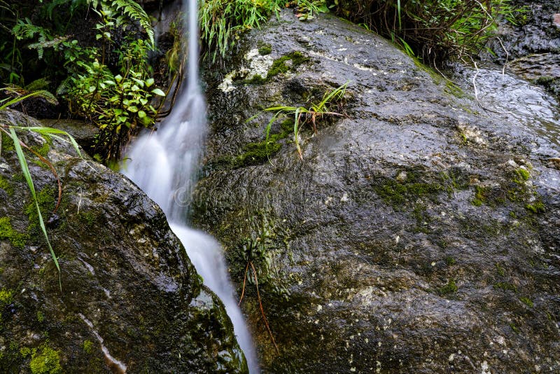 Slow Shutter of Water Peeping through Rocks with Natural Vegetation ...